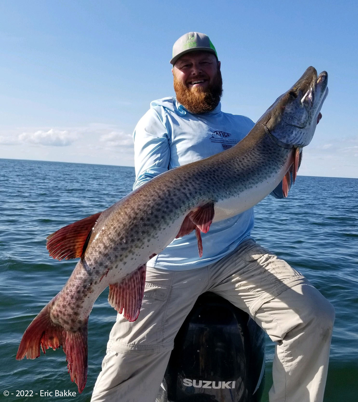 Princeton man reels in state record muskie – Marshall Radio