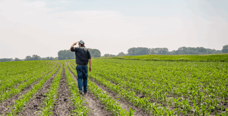MDA Opens Applications for Farm to Food Security Grants – Marshall Radio